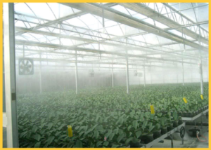 Misting Systems California – Misting System Installations